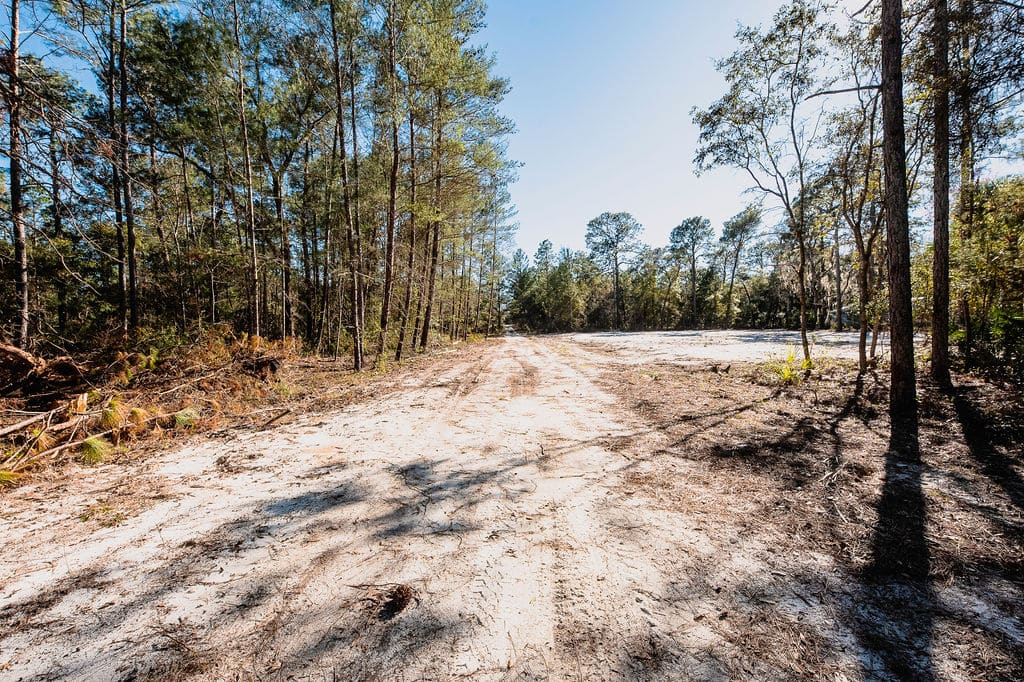 Satsuma, Florida Living With Easy Access Just $295/Month - Black Spruce ...